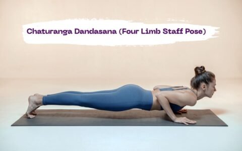 Chaturanga Dandasana (Four Limbed Staff Pose)
